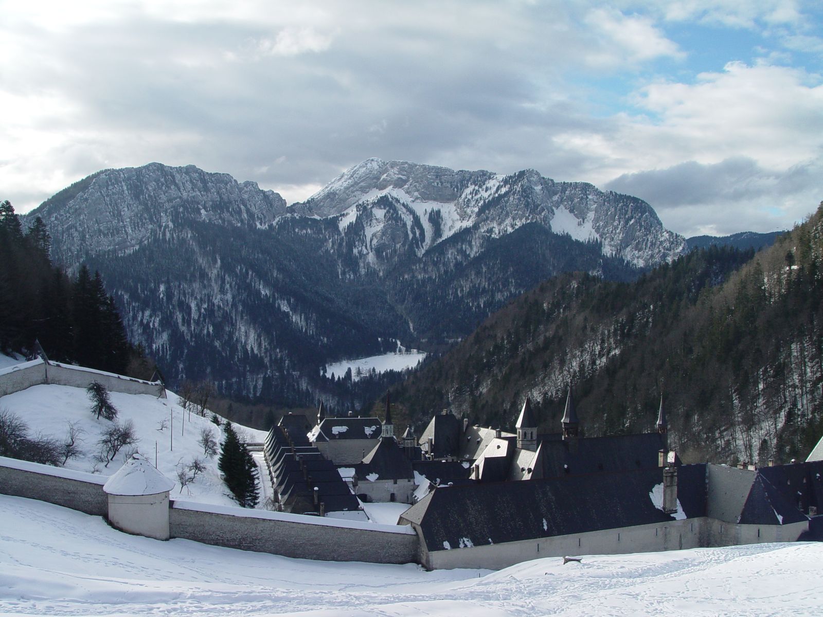 What is Chartreuse? What you need to know, and how to use it